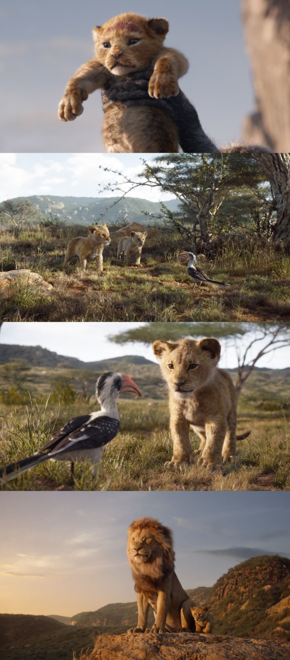 [N리뷰] '라이온 킹', 25년만에 실사로 돌아온 전설 그리고 '1장1단' - 파이낸셜뉴스