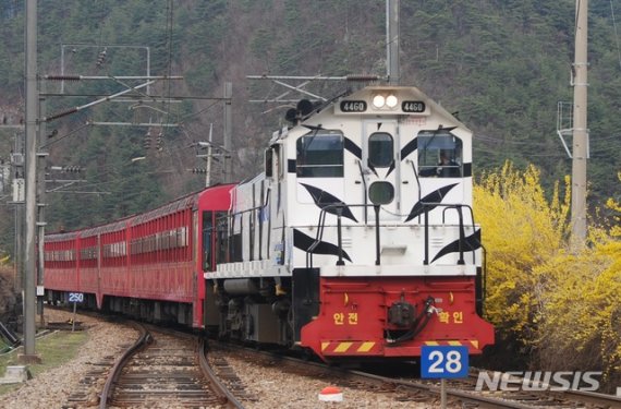 누리로·관광열차·동해선도 '무료 와이파이' 제공 - 파이낸셜뉴스