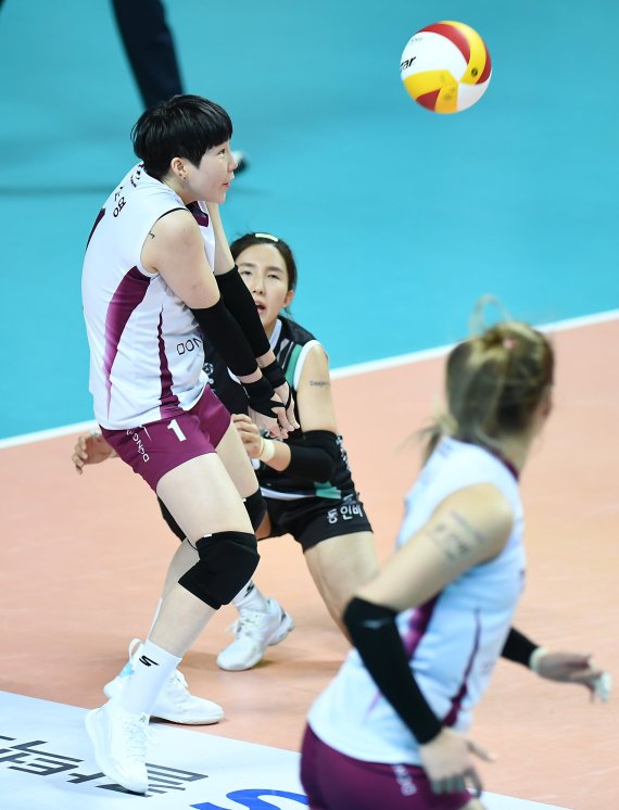 GS칼텍스, KGC에 완승…한국전력은 대한항공 잡고 1위 도약(종합) - 파이낸셜뉴스