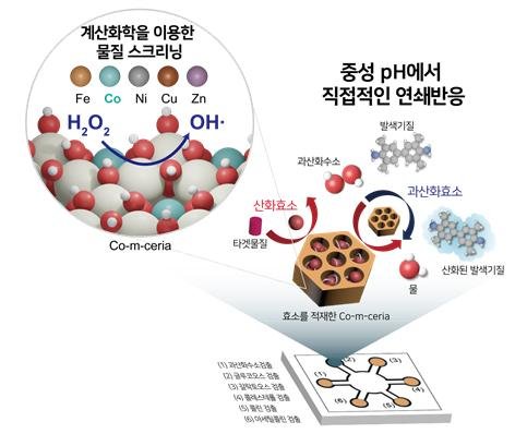 KAIST, 6개 표적 물질 동시·정확히 검출가능한 종이센서 개발 - 파이낸셜뉴스