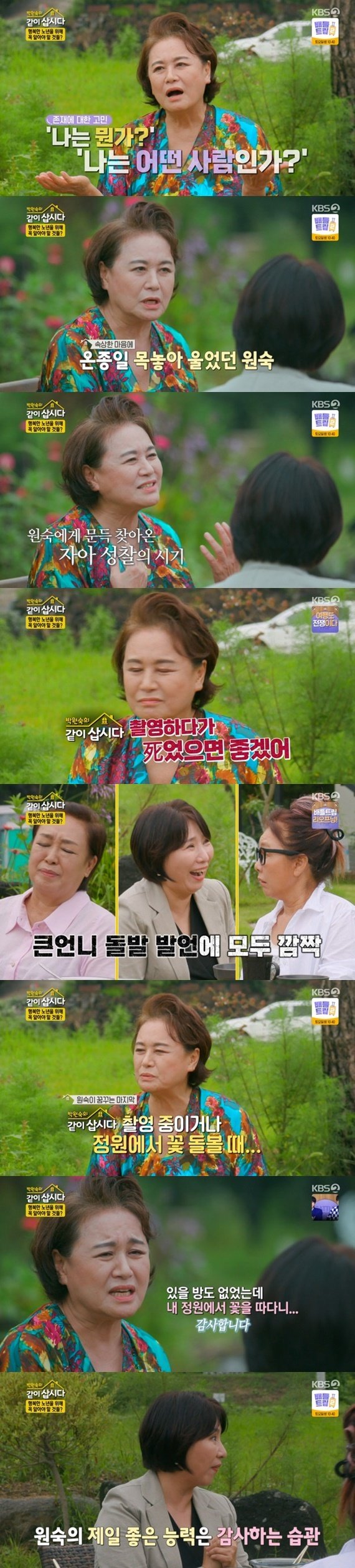 박원숙 "'같이 삽시다' 촬영 중 죽었으면" 깜짝 고백 [RE:TV] - 파이낸셜뉴스