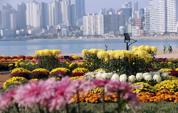 부산 대체로 맑은 날씨…낮 최고 18도 파이낸셜뉴스