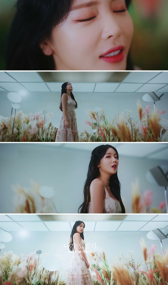 홍진영, 신곡 MV 티저 공개…억새밭서 물오른 미모 - 파이낸셜뉴스
