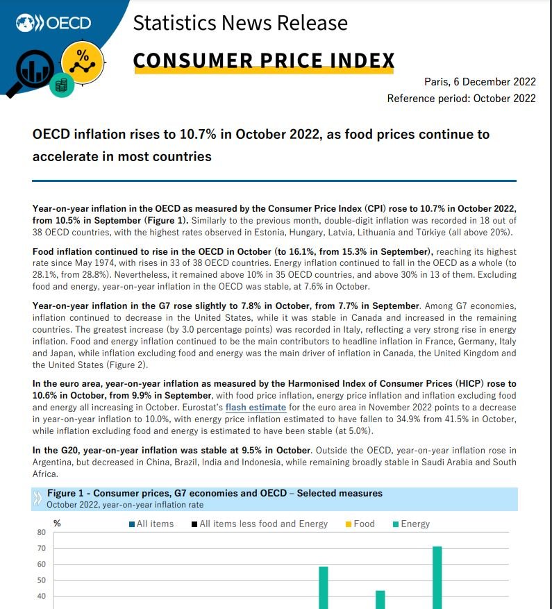 OECD 10월 CPI, 10.7% 올라 9월 10.5%보다 증가폭 소폭 늘어 - 파이낸셜뉴스