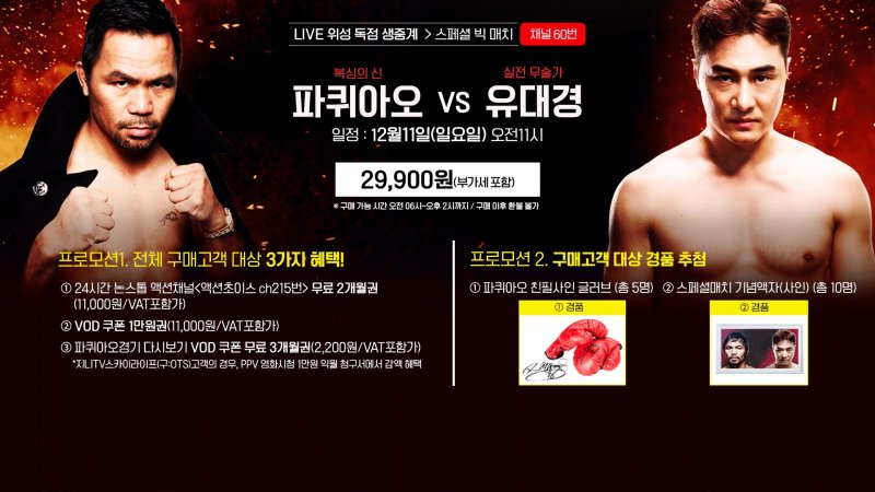 파퀴아오 유대경 빅매치 Kt스카이라이프서 본다 파이낸셜뉴스