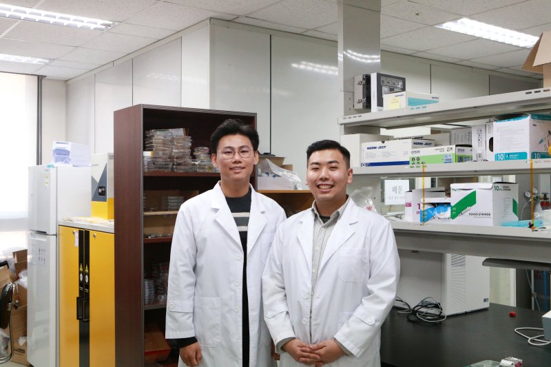 Dgist 그래핀 기반 출력 안정적인 터치 센서 개발 파이낸셜뉴스