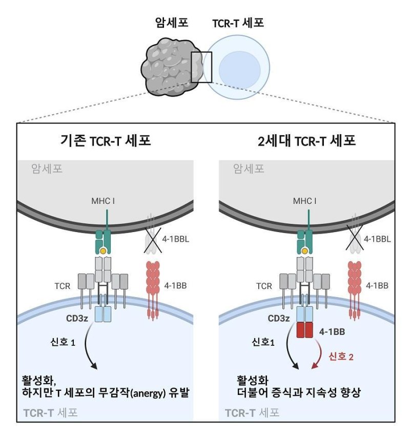 KAIST, 말기 고형암 표적 면역치료제 개발 - 파이낸셜뉴스