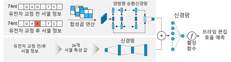 연세대 차세대 유전자 가위 프라임 편집기 설계 기술 개발 파이낸셜뉴스