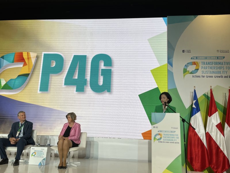 김효은 기후대사, P4G 정상회의…"기후 극복 위해 민관 협력" - 파이낸셜뉴스