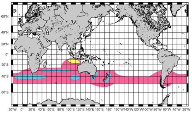 2024~2026년 남방참다랑어 할당량 결정…CCSBT 총회 9~12일 부산서 개최 - 파이낸셜뉴스