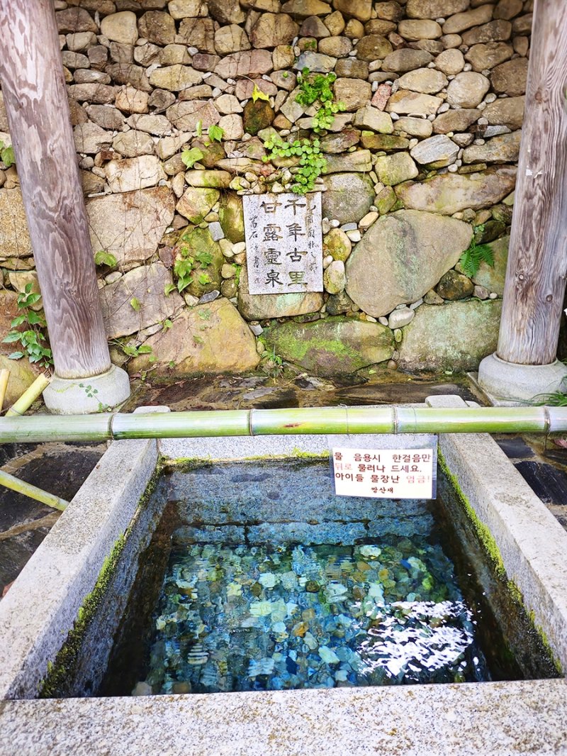 [imazine] 지리산을 부탁해·지리산아 부탁해 ② - 파이낸셜뉴스