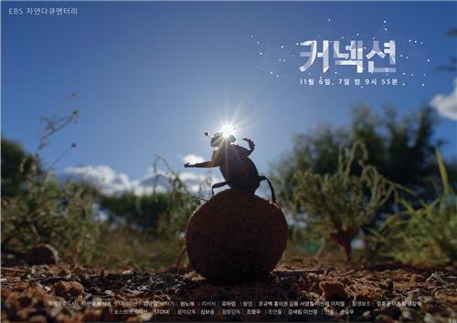 9개국서 담아낸 다양한 생명의 모습…EBS 다큐 '커넥션' - 파이낸셜뉴스