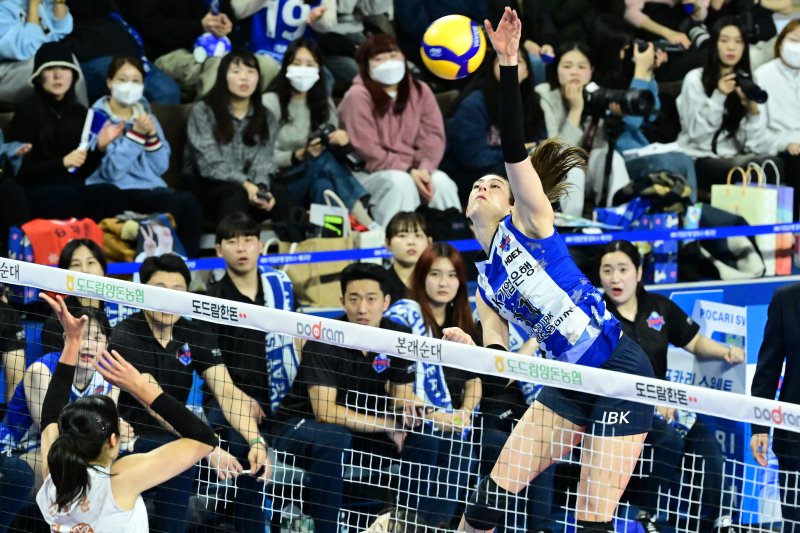 IBK기업은행, '선두' 현대건설 10연승 저지…아베크롬비 36점 폭발 - 파이낸셜뉴스