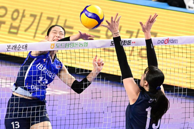 '최정민 5블로킹' IBK, GS칼텍스 완파…OK금융도 KB손보 꺾고 3위 도약 - 파이낸셜뉴스