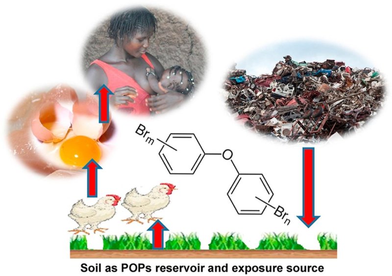 "난연제 성분 PBDE 혈중 농도 높으면 암 사망 위험 4배 높다" - 파이낸셜뉴스