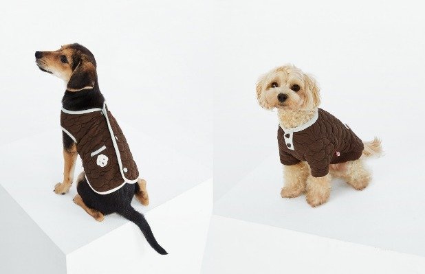 BYC, '24FW 개리야스' 신제품 출시 - 파이낸셜뉴스