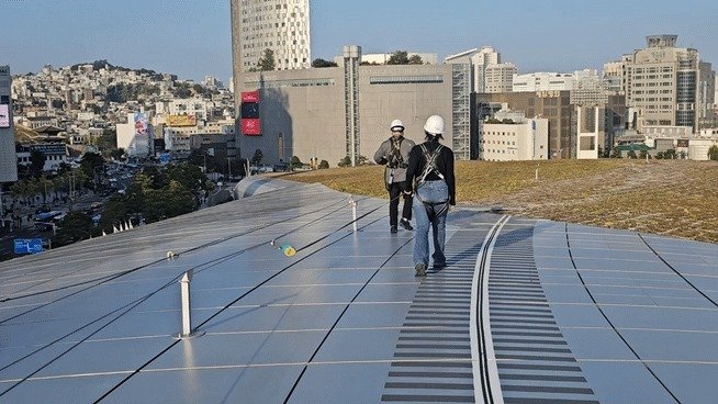 'DDP 지붕' 걷자 동대문·남산 한눈에…"서울 구경 제대로 하네" - 파이낸셜뉴스