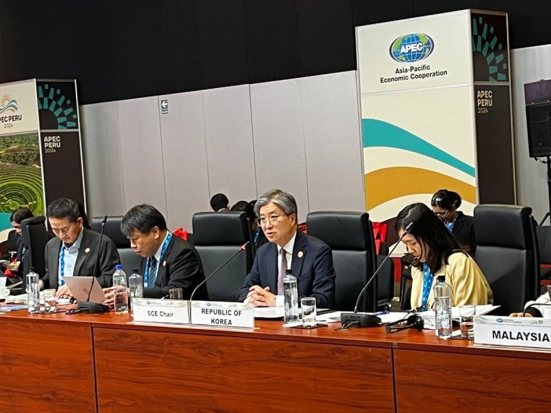 APEC 최종고위관리회의 페루서…내년 정상회의 계획 설명 - 파이낸셜뉴스