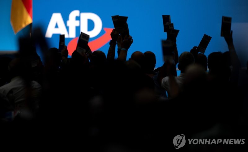 독일 극우 AfD 정당해산 발의…조기총선에 실현 난관 - 파이낸셜뉴스