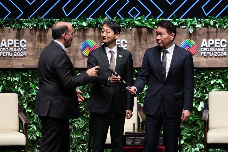 "2025 APEC 민·관이 함께 준비"…CEO 서밋 민간추진위 출범 - 파이낸셜뉴스