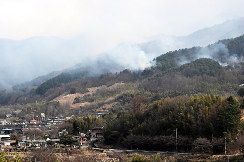 주왕산·지리산까지 간 산불…피해면적 2020㏊로 늘어(종합) - 부산파이낸셜뉴스