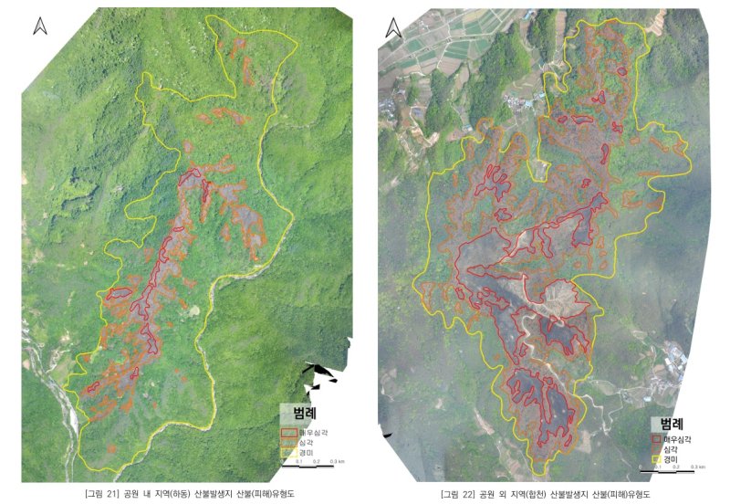 "산불 피해, 임도 아닌 나무 탓"…국립공원공단, 산림청과 다른 해석 - 파이낸셜뉴스