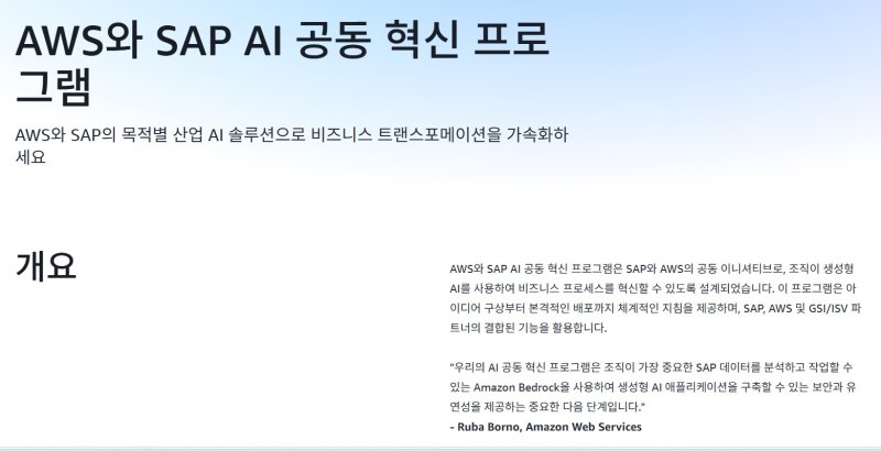 "ERP 기반 AI 설루션 협력"…AWS·SAP '공동 AI 혁신 프로그램' - 파이낸셜뉴스